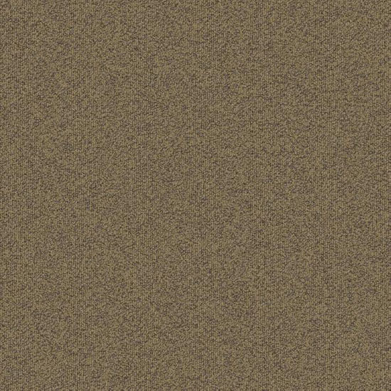 Gradient Carpet Tile (Driftwood) by Shaw Contract | Massive Savings