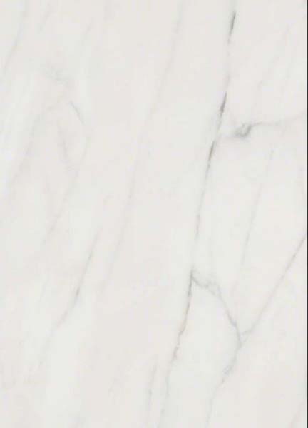 Maximus 12x24| Shaw Floors