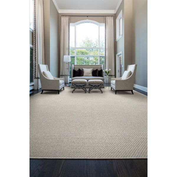 Soto (Dove) by Stanton Carpet | Prices Slashed