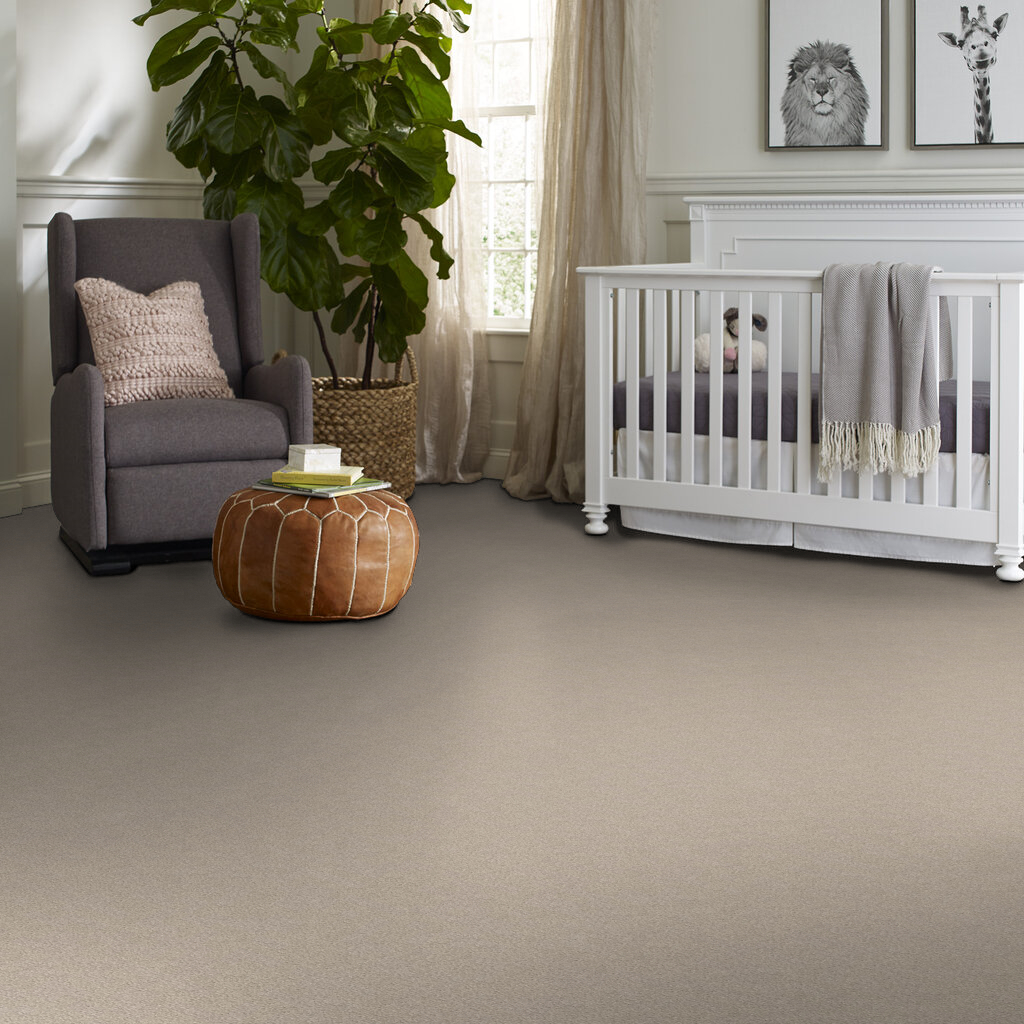 Cascade II (Chipmunk) by Shaw Carpet | Prices Slashed