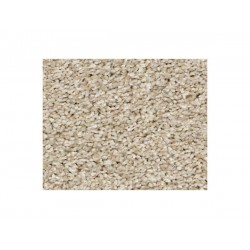 All About It Biscotti by Shaw Carpet Huge Discounts