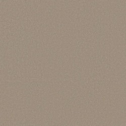 Shaw Carpet at CarpetExpress.com | Save 30-50%