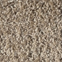 Transform Your Home with Durable and Affordable Carpet - Shop Carpet ...
