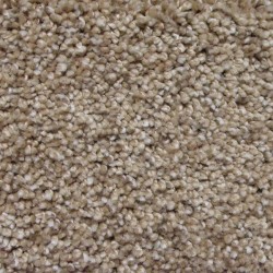 Softest Touch I (Stucco) by Showcase Collection | Shop Online & Save